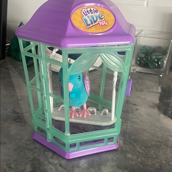 little pets | Toys | Purple And Blue Bird Cage Bird Repeats What You ...